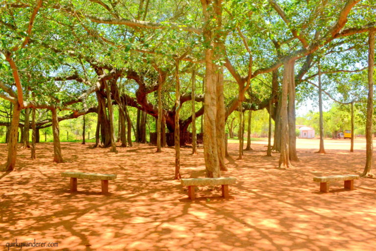 10 AWESOME things to do in Pondicherry - Quirky Wanderer