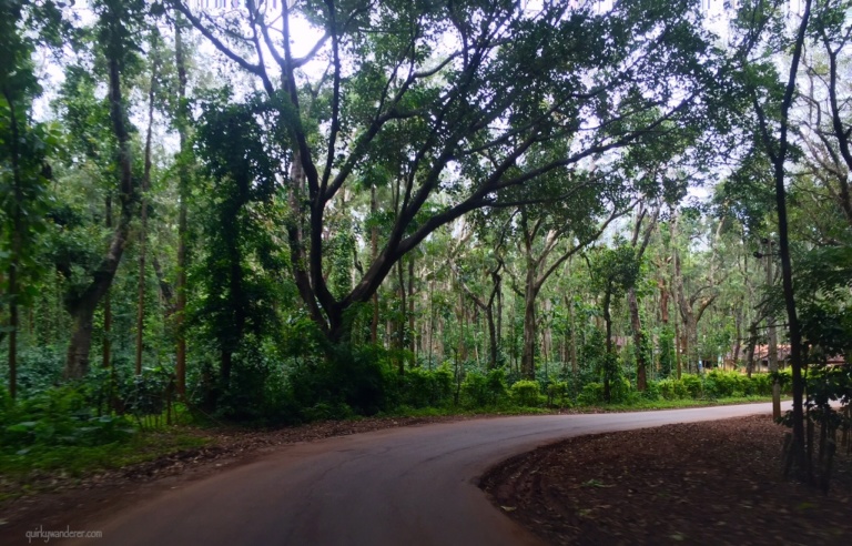 A Grand Road trip of 3400 Kms and Scenic Drives of Karnataka - Quirky ...