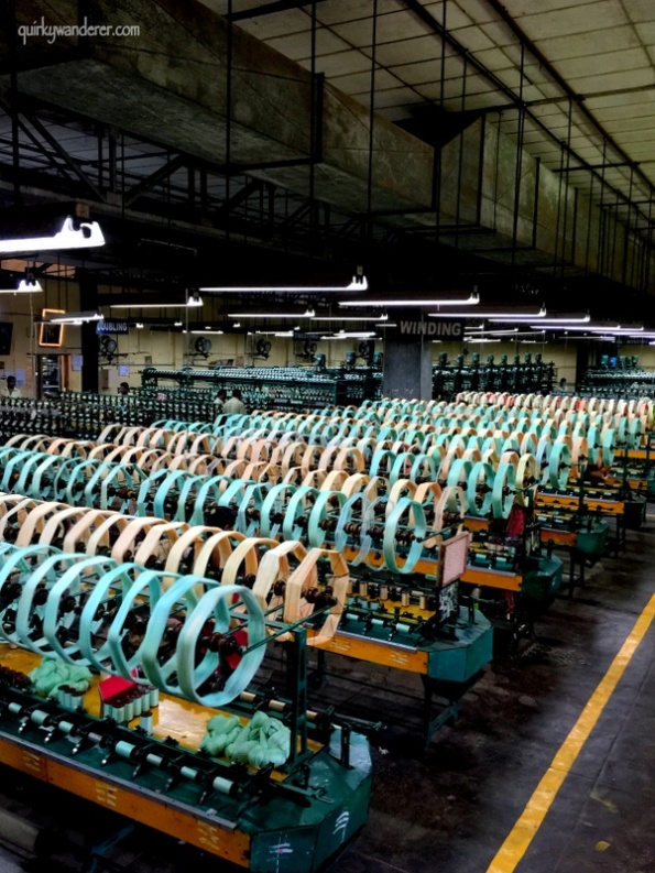 Experiences in Mysore and beyond - Quirky Wanderer