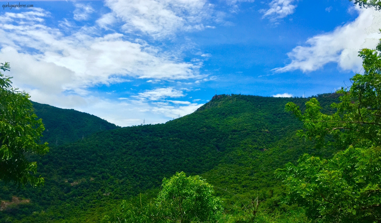 The Beauty of Tirumala Hills in Andhra Pradesh - Quirky Wanderer