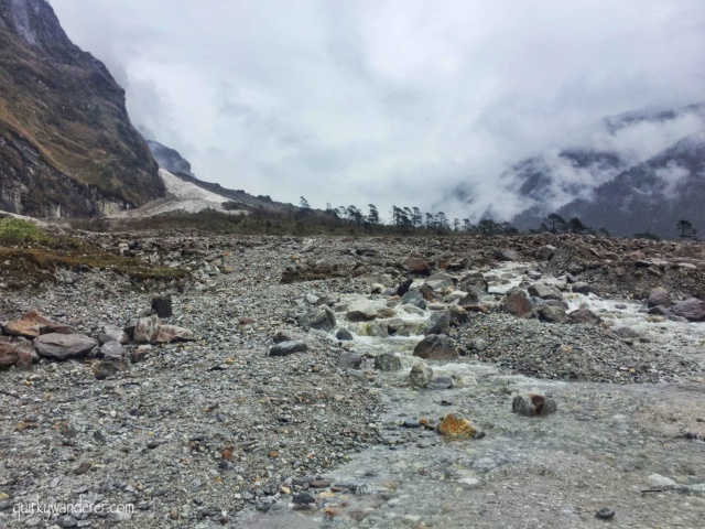 The Paradise Called Yumthang Valley - Quirky Wanderer