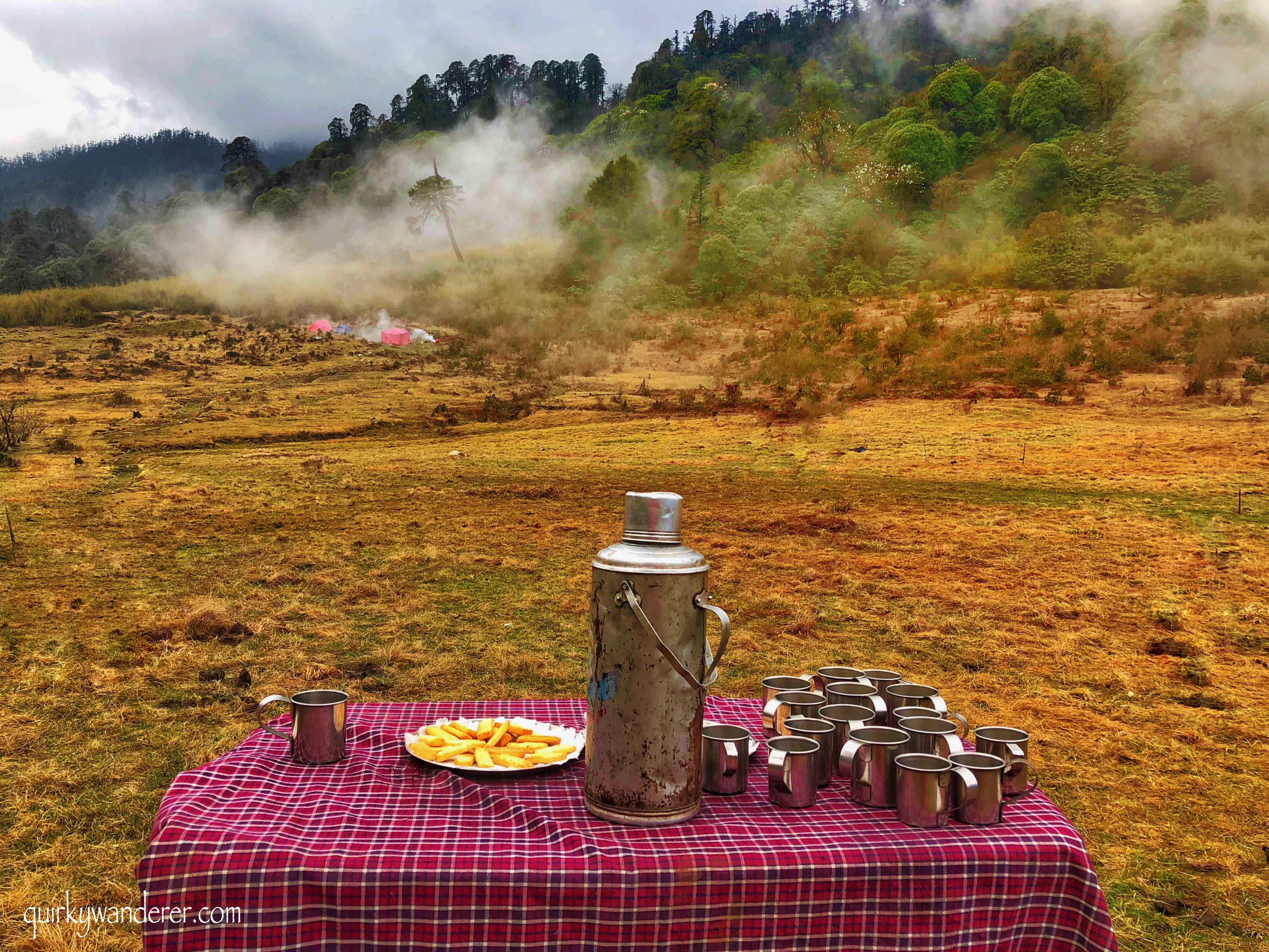 Barsey Rhododendron Trek in West Sikkim - Quirky Wanderer